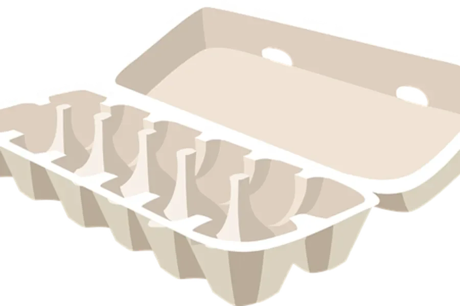 6 Amazing Food Packaging Trends To Follow This Year