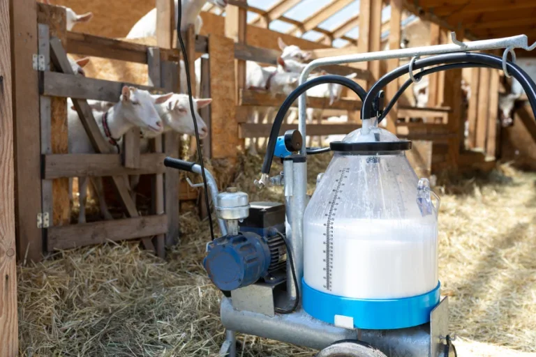 How To Select Farm Milking Machines