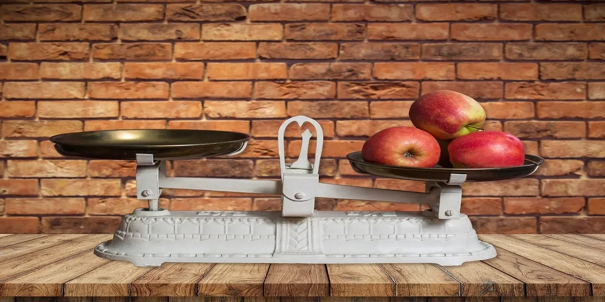 7 Household Scales You Need To Know