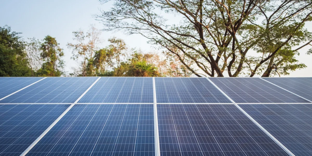 ACP Forecasts US State To More Than Double Clean Energy Capacity By ...