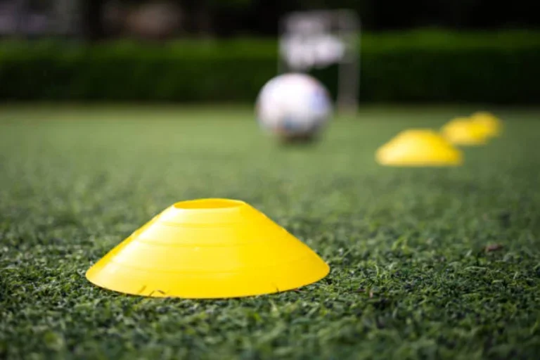 Buyer’s Guide to the Best Agility Cones