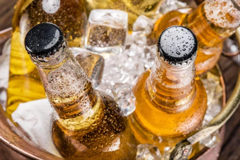 The Best Ice Buckets of 2024: Keeping Your Beverages Perfectly Chilled