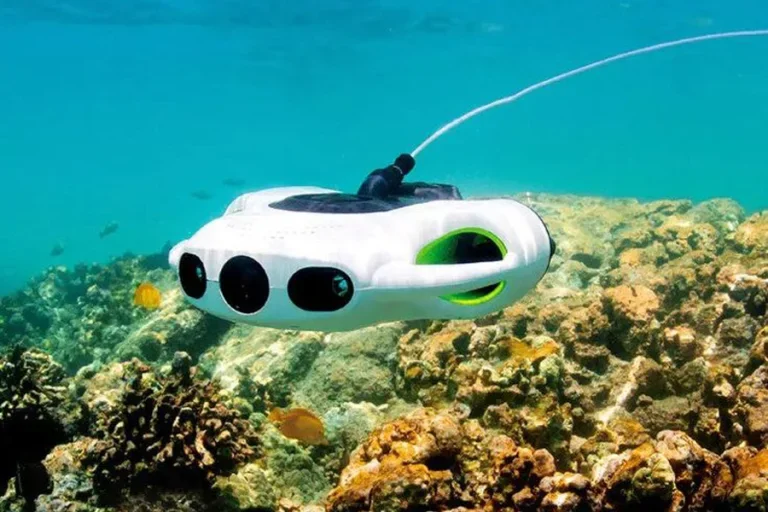 Exploring the Depths: A Comprehensive Guide to the Best Underwater ...