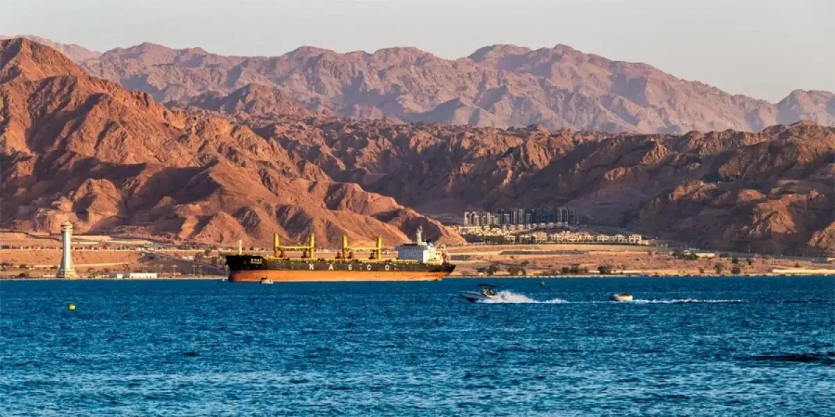 Steering Through the Red Sea Crisis: How E-Commerce and Industries are ...