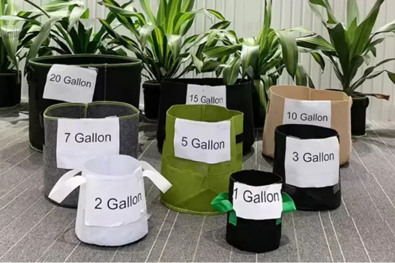 Planting Potential: How to Pick Grow Bags for Enhanced Yield in 2024