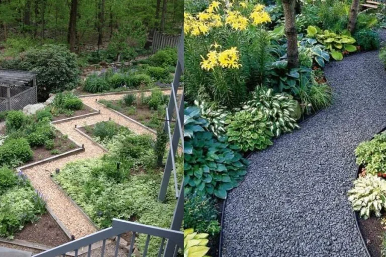 Top 7 Raised Vegetable Garden Layouts for Beginners - Alibaba.com Reads