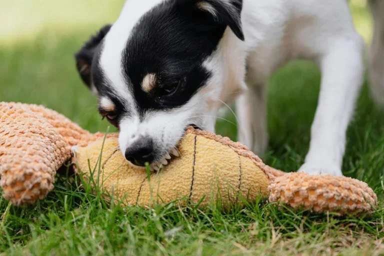 Squeak, Rattle, and Roll: Review analysis of Amazon’s hottest selling ...