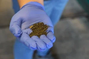 Green Li-ion Launches N America’s First Commercial-Scale Plant To ...