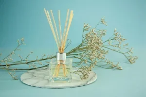A Detailed Guide to Reed Fragrance Diffusers: Enhance Any Space with ...