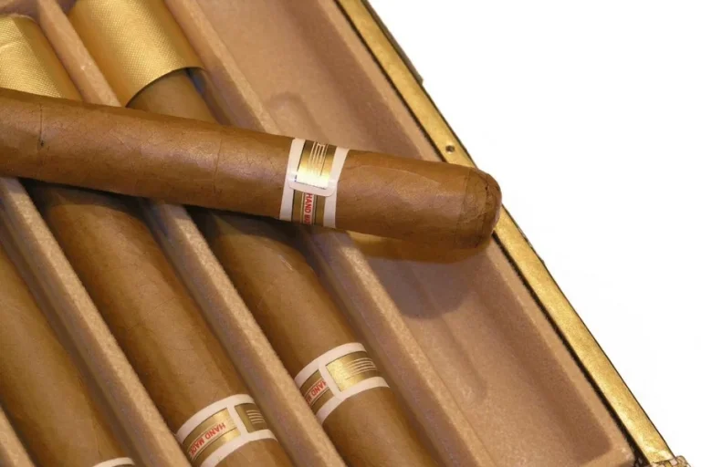 Essential Guide to Choosing the Best Cigar Cases for 2025