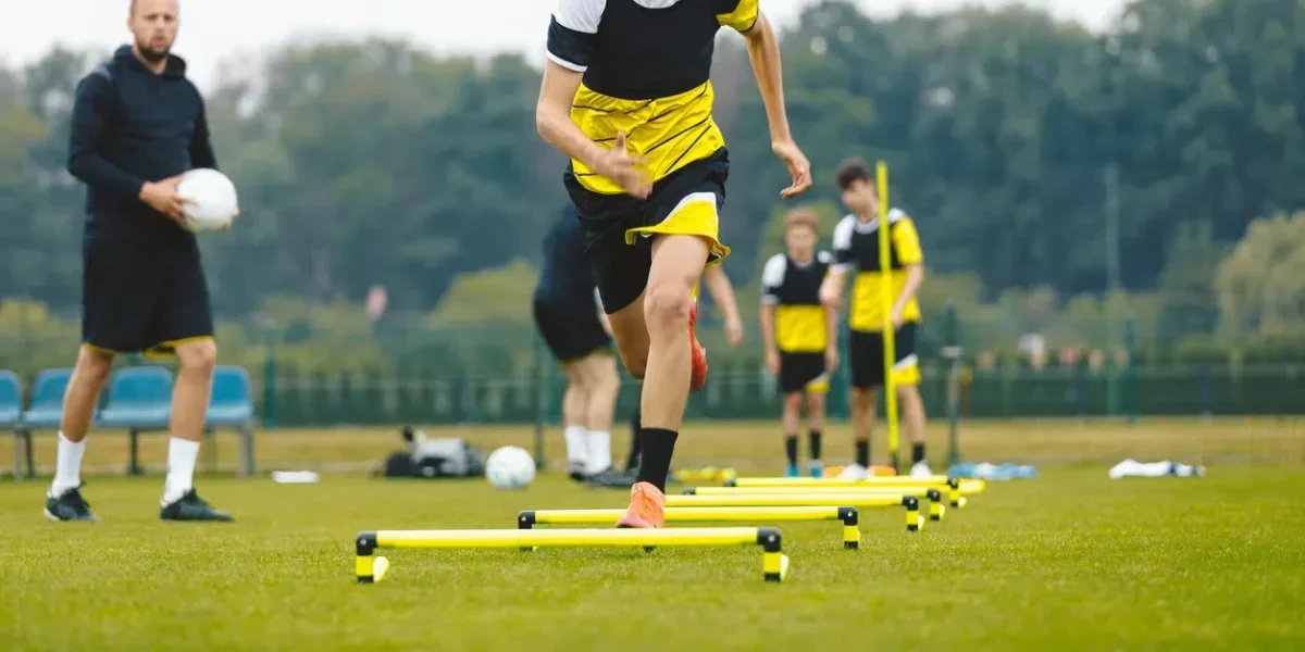 3 Unique Styles of Agility Hurdles for Training