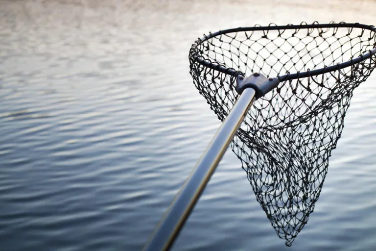 Choosing the Best Fishing Nets for 2025: Key Types, Leading Models, and ...