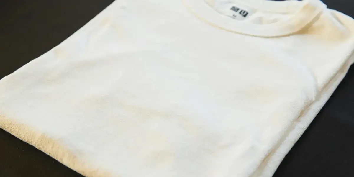 Heavy Cotton T-Shirts: The Market Dynamics and Key Trends