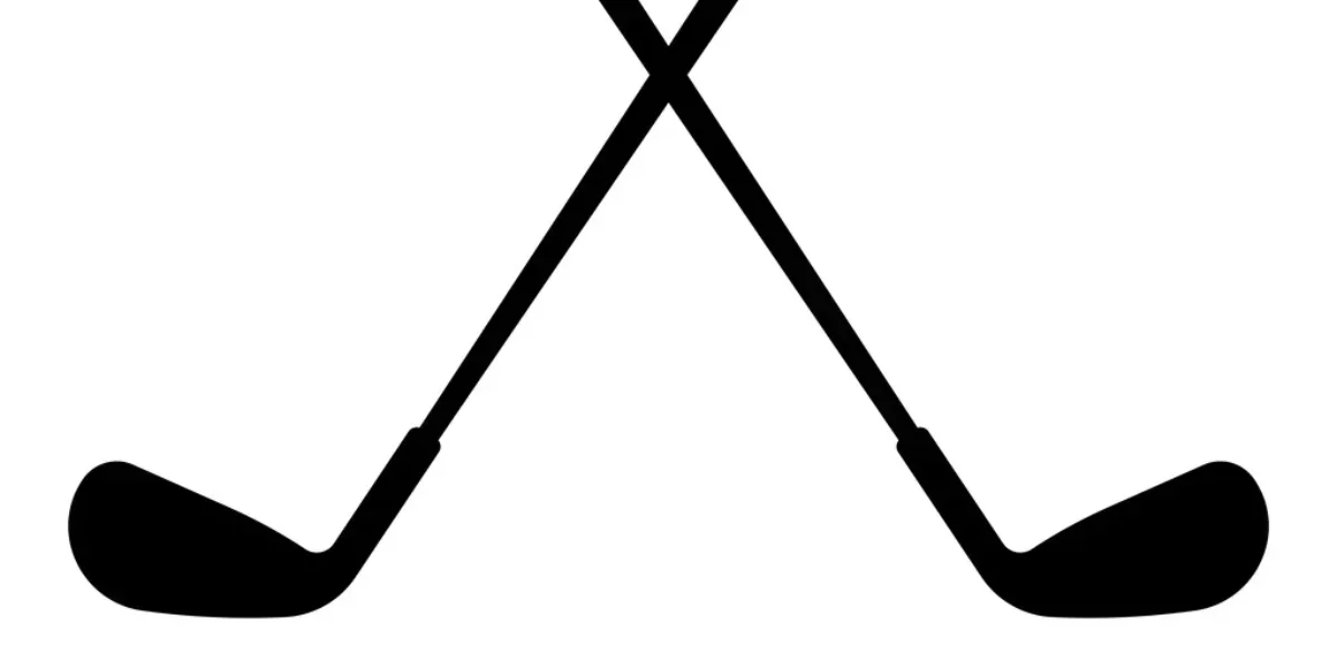 The Evolution of Hybrid Clubs: A Game Changer in the Sports and ...