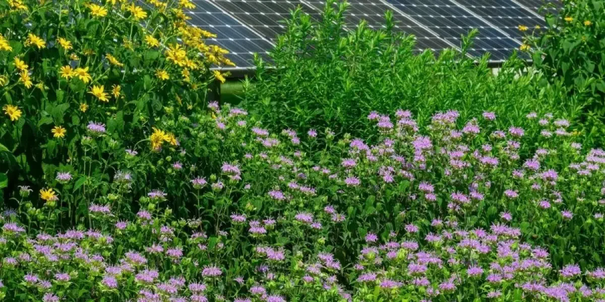 North America Solar PV News Snippets: APs To Add 7.3 GW New Re ...