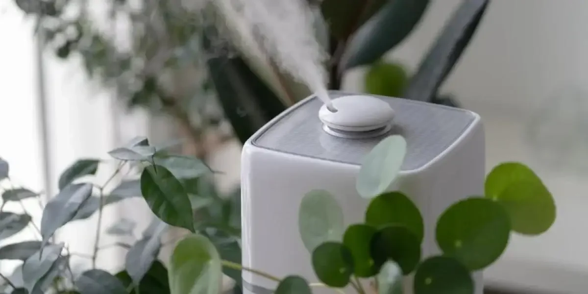 Review Analysis of Amazon’s Hottest Selling Humidifiers in the USA