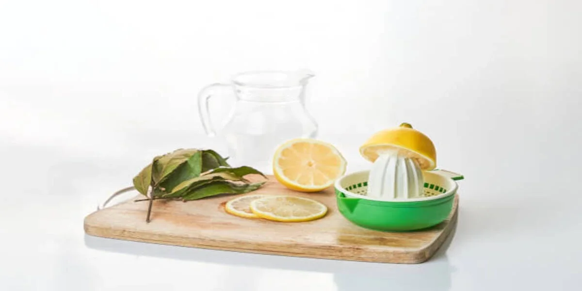 How to Choose the Best Lemon Squeezer in 2025