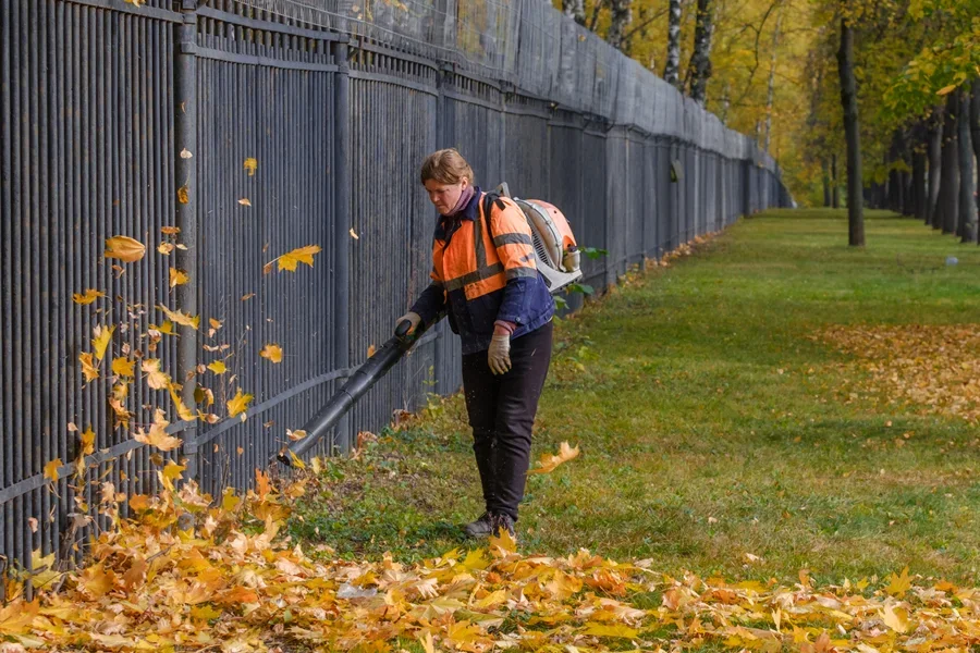 Backpack Leaf Blowers vs. Electric Leaf Blowers: A Comparison Guide for ...